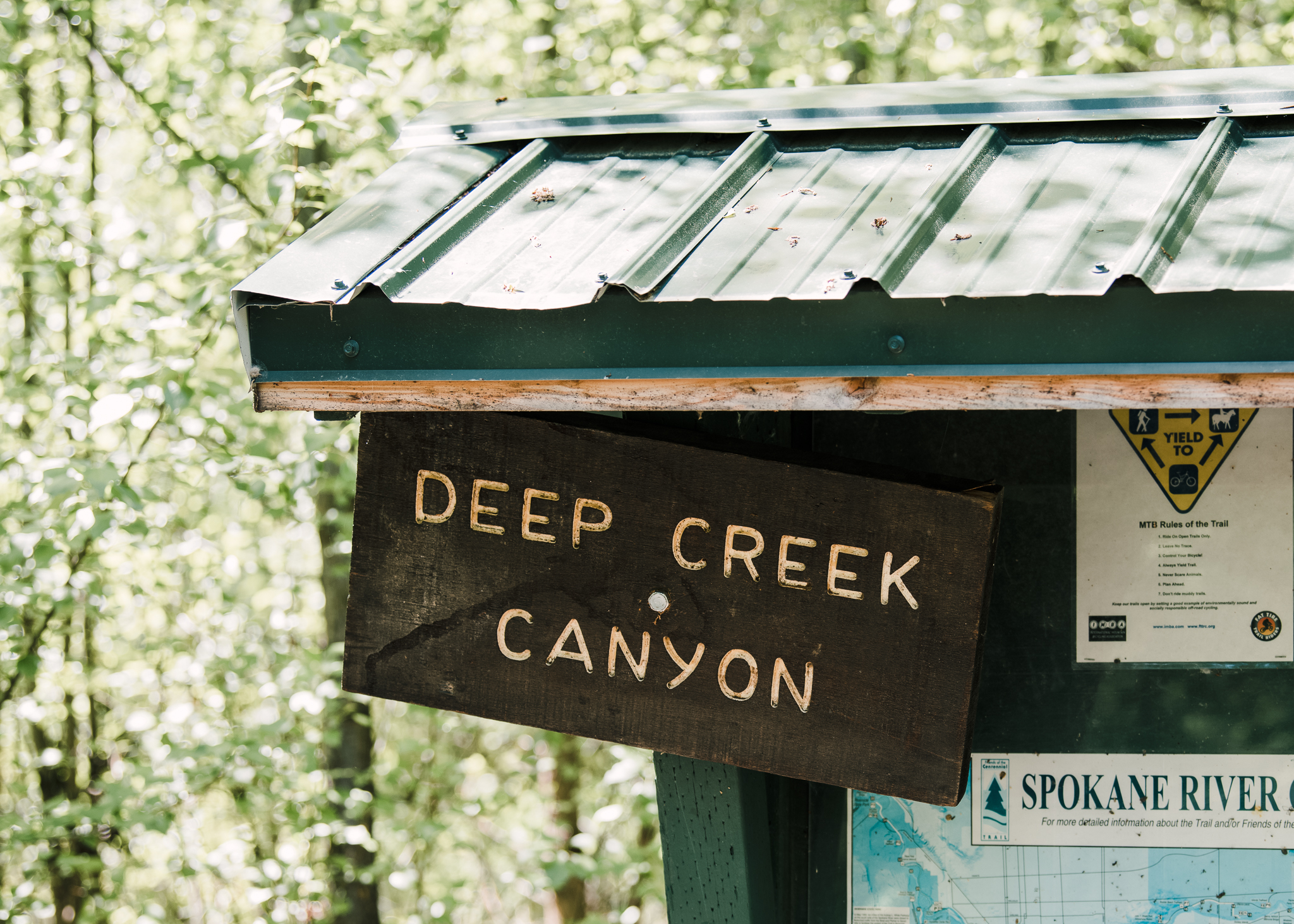 Riverside State Park, Deep Creek - MB Bryant Images