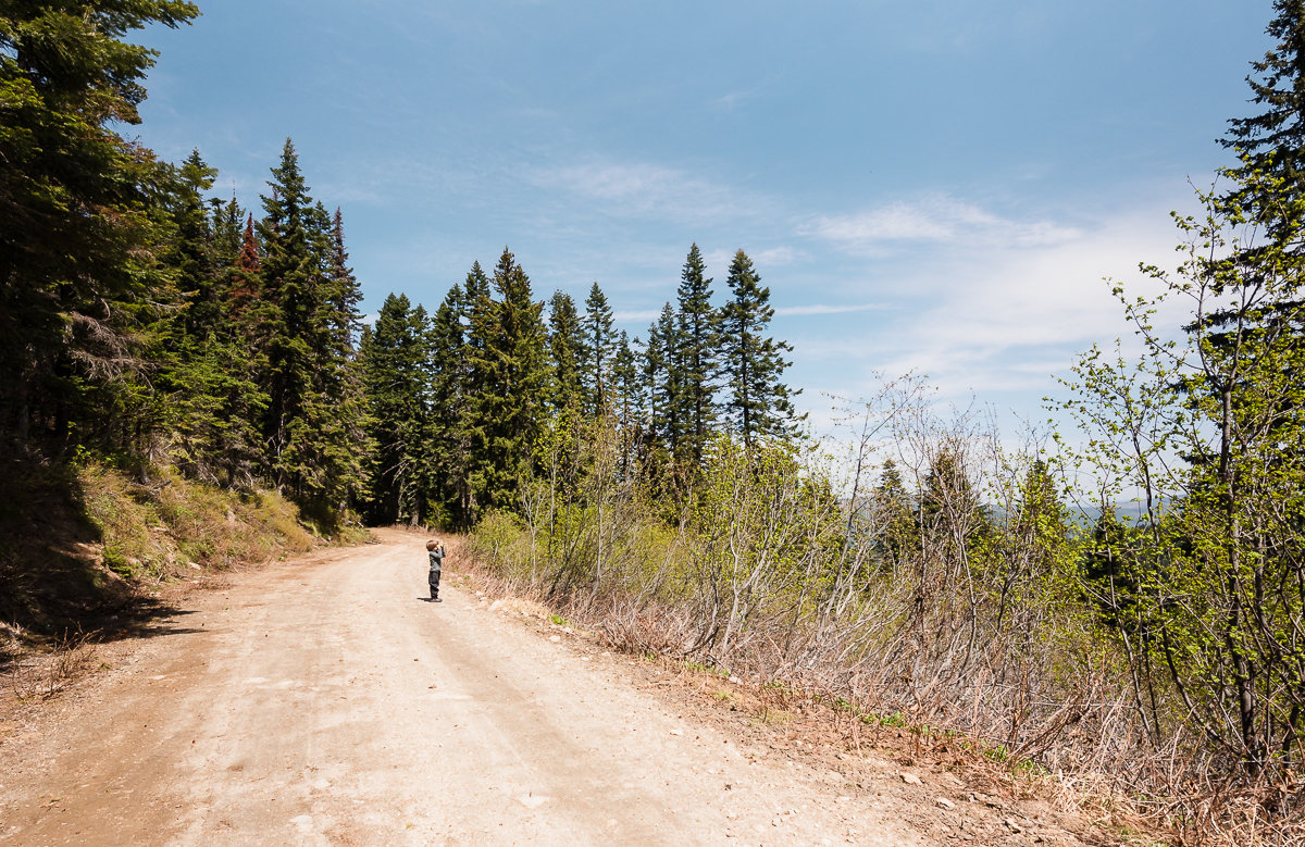 Mt Spokane State Park Hiking - MB Bryant Images