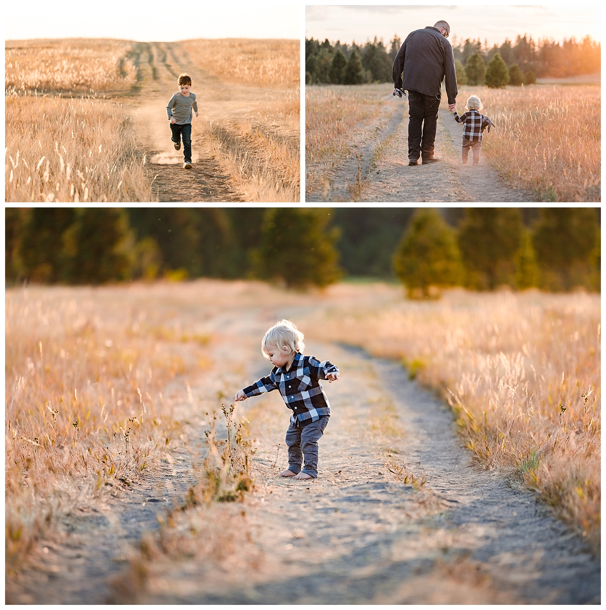 James T Slavin Conservation Area - MB Bryant Images